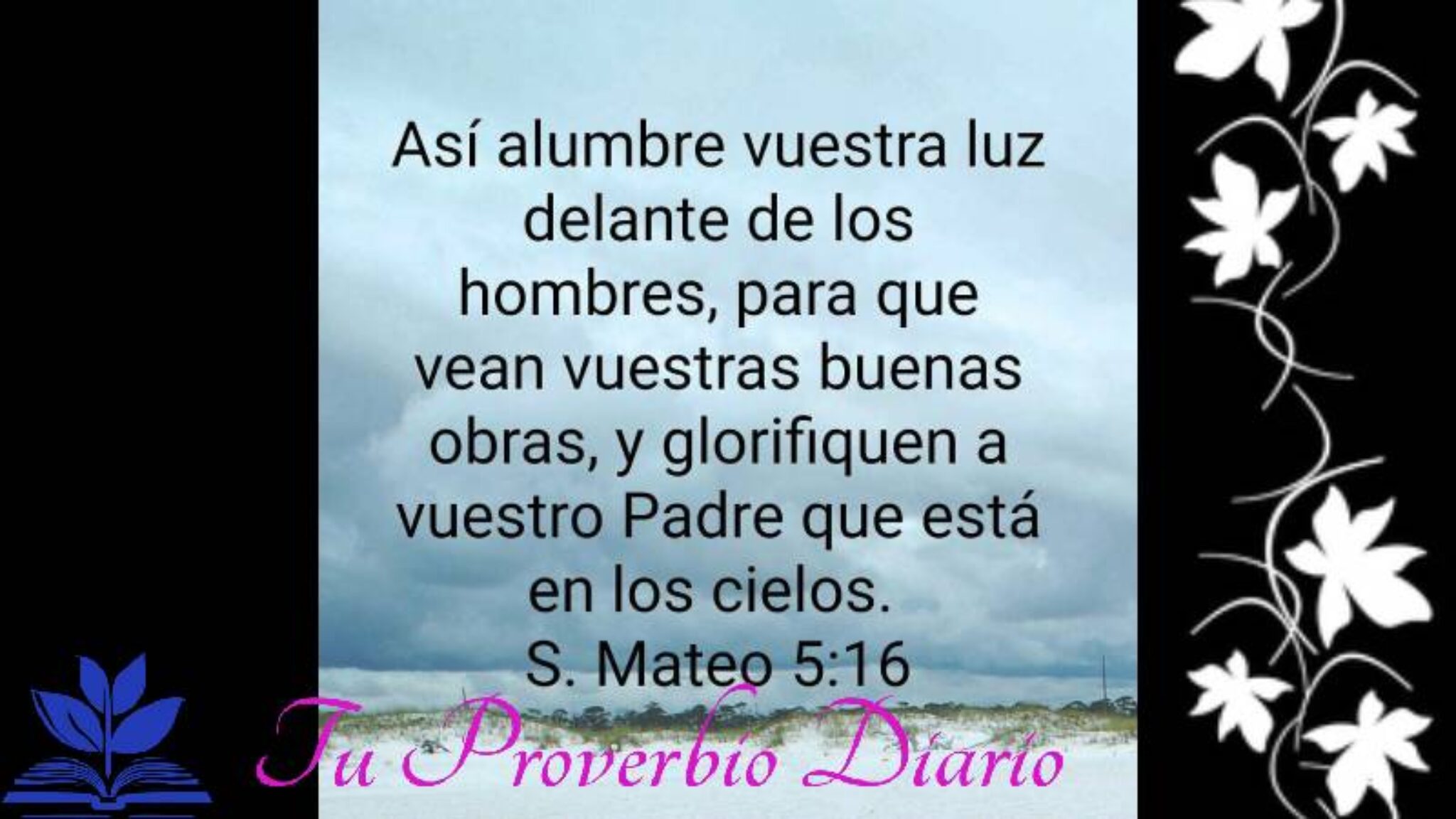 Reflexión y Explicación de Mateo 5:16 | Así brille su luz - Tu Proverbio Diario