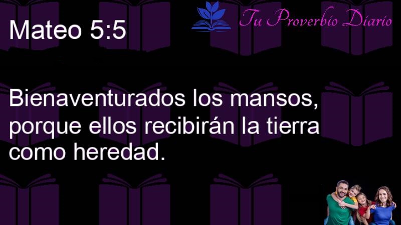 Reflexión Profunda sobre Mateo 5:5 | Bienaventurados los Mansos