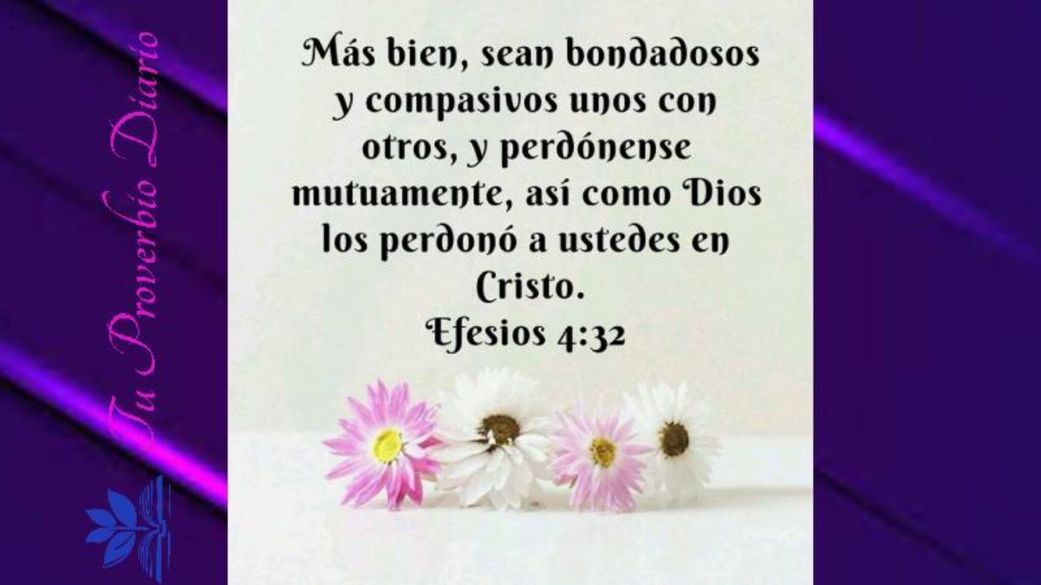 Seamos Amables | Reflexión sobre Efesios 4:32 - Tu Proverbio Diario