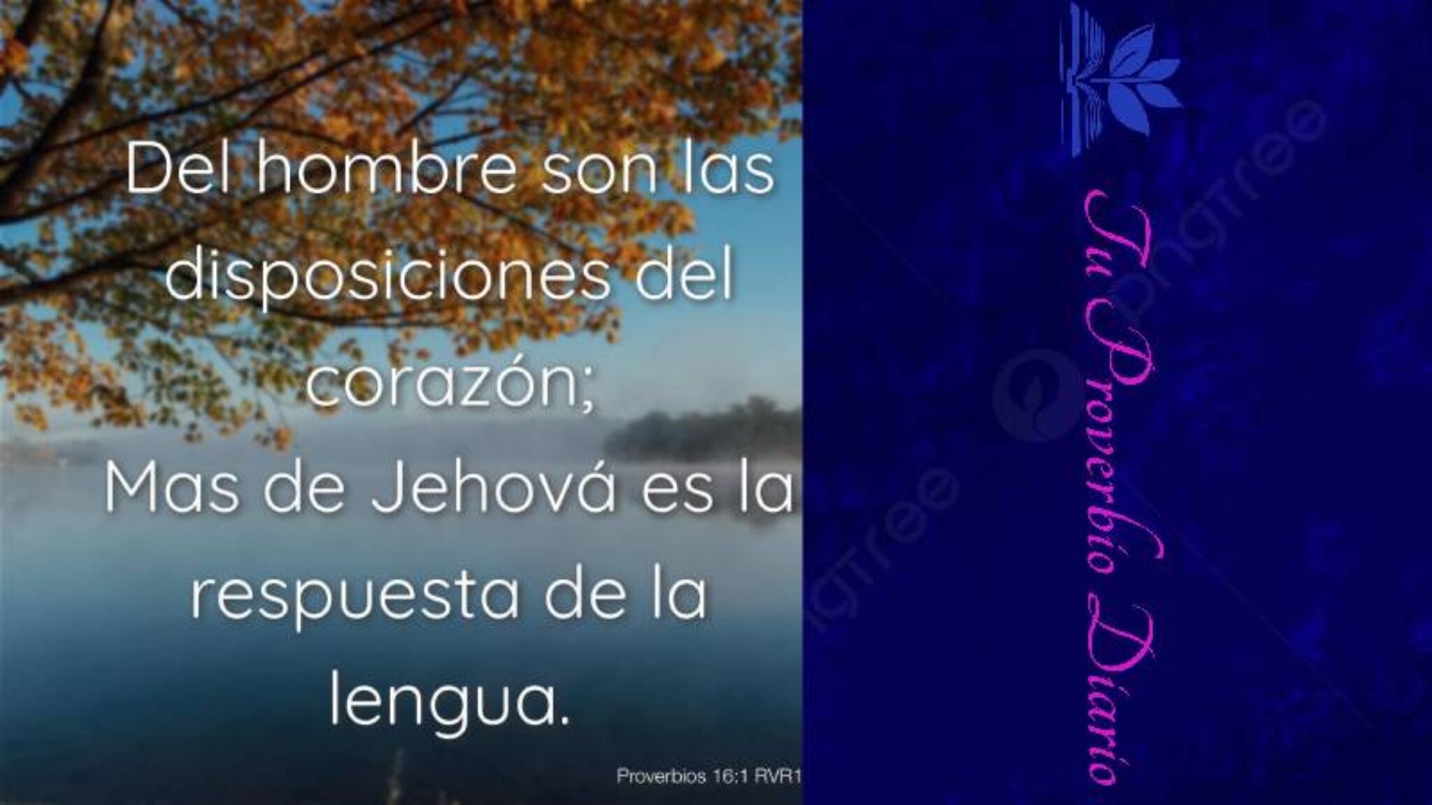 Reflexión Cristiana sobre Proverbios 16:1 (Reina valera 1960) - Tu ...