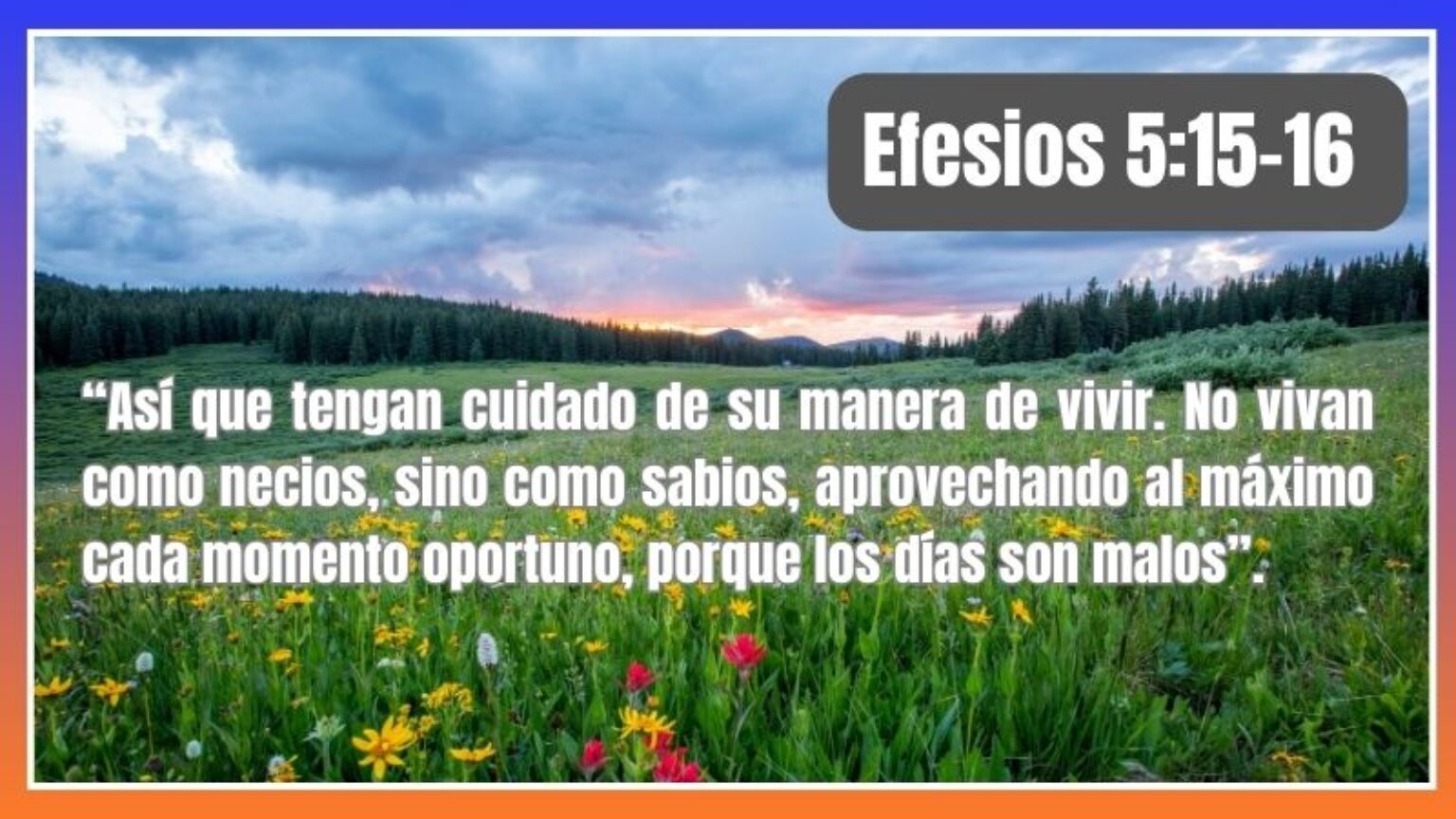 Reflexión y Explicación de Efesios 5:15-16 | Vivan como Sabios